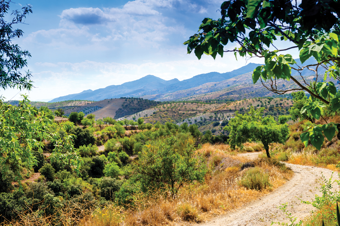 Acequia de Almiar – en skøn 2 dages vandretur i Las Alpujarras – La Danesa