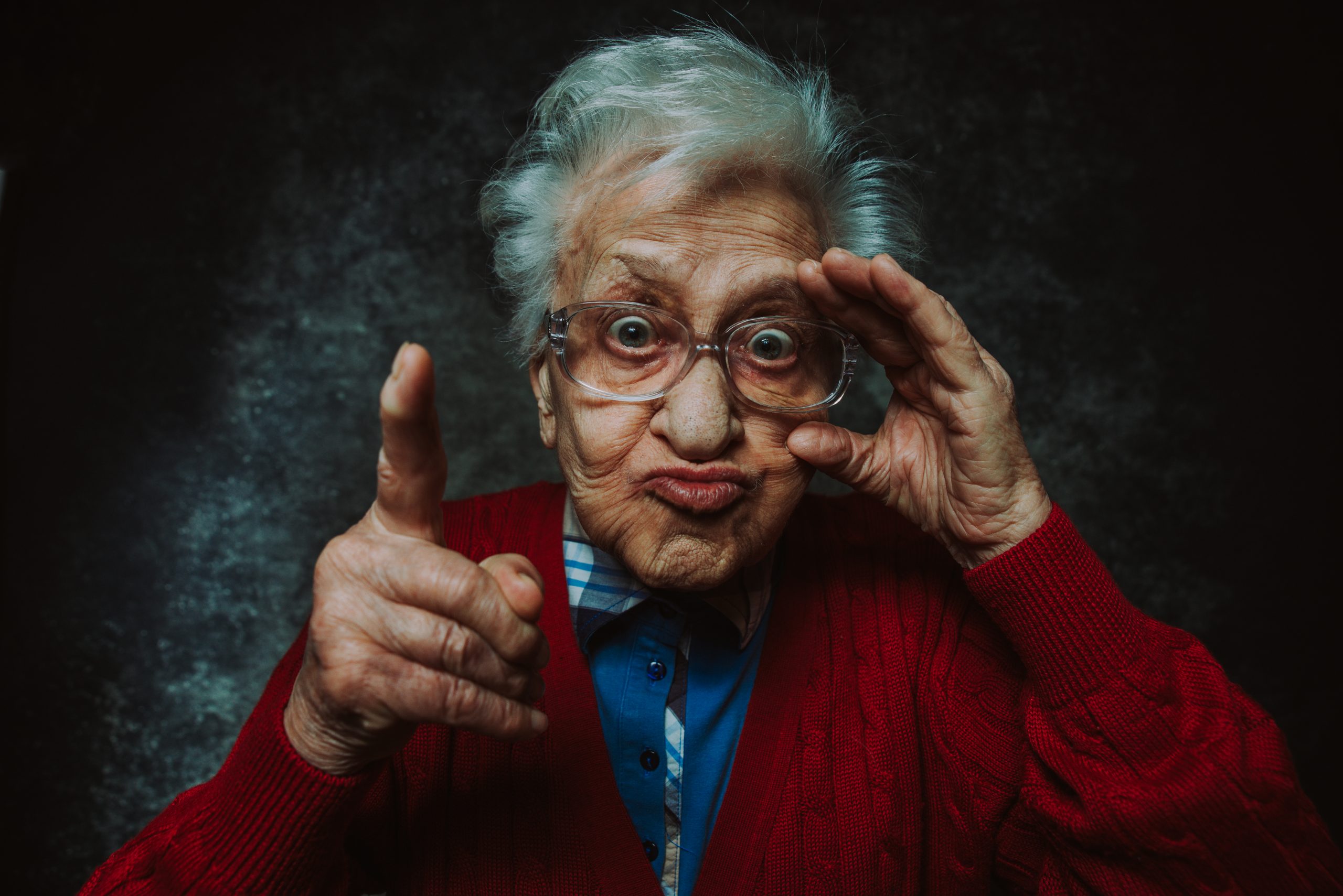 Den alsidige sveske – falske venner og andre sproglige finurligheder ...