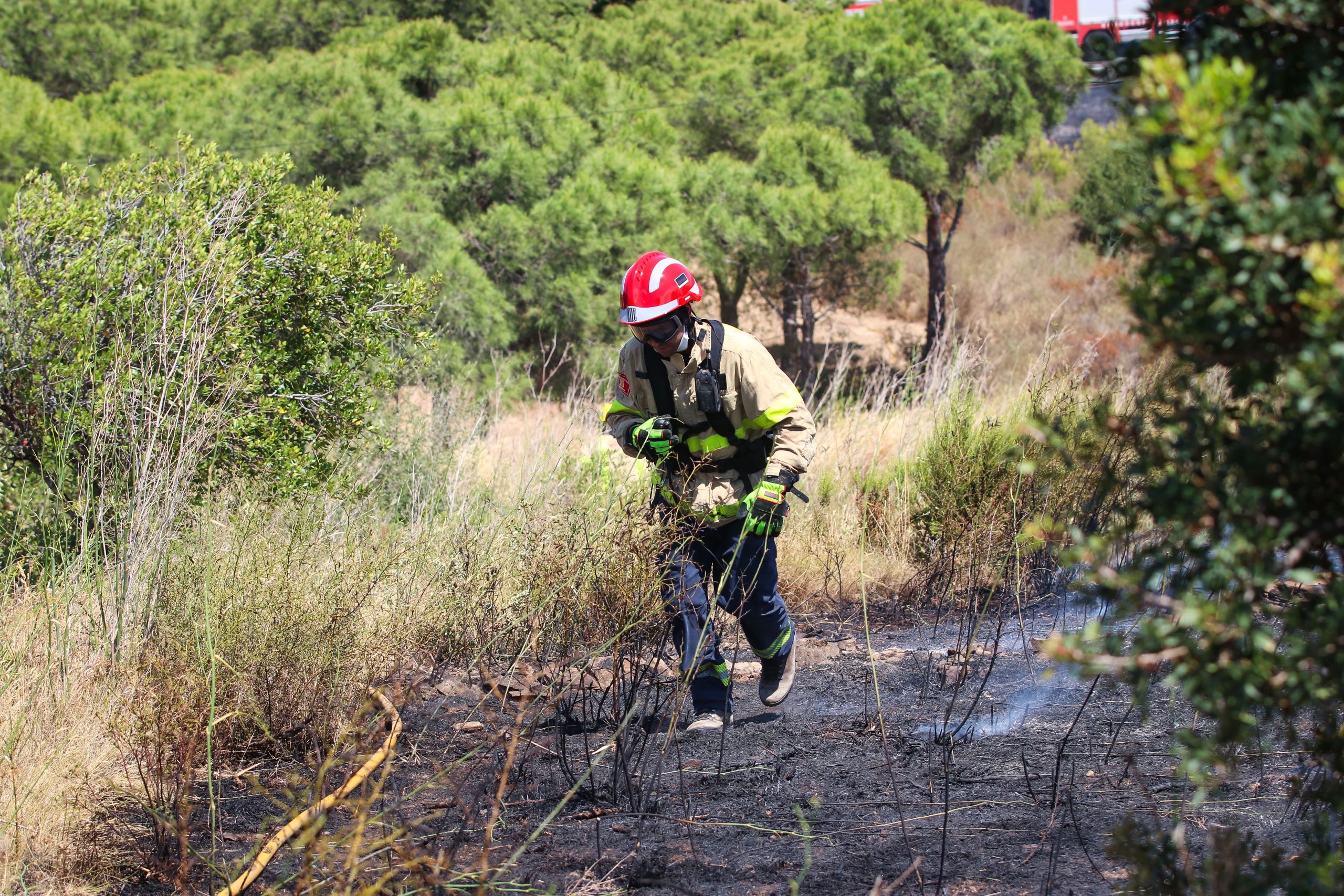 Mistanke om pyromani efter fire nye brande – La Danesa