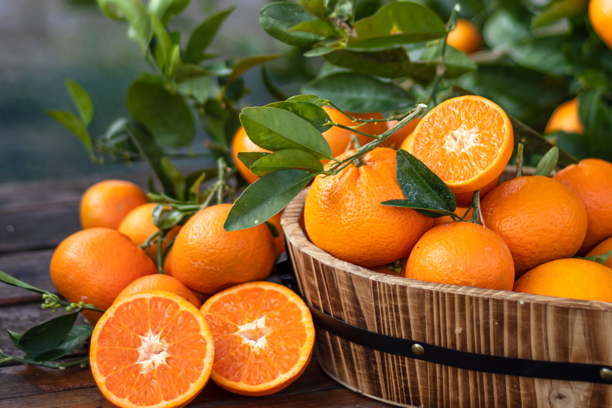 Valencia-appelsiner kommer ikke fra Valencia – La Danesa